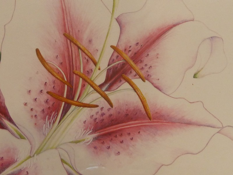 Watt's Antiques :: TIGER LILY BY MARJORIE LYON